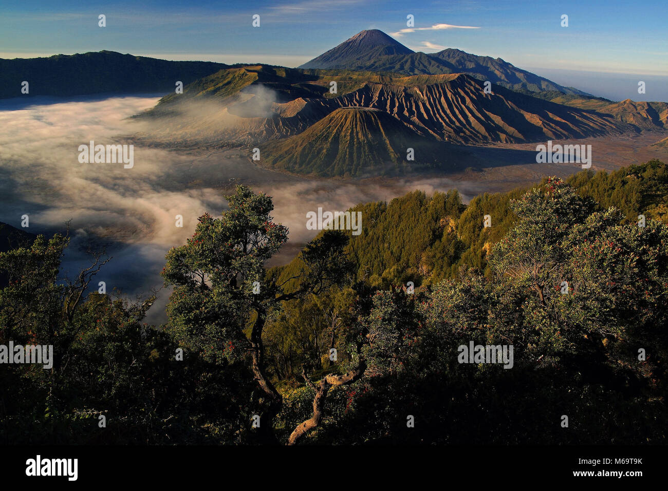 asia, Indonesia, Java, volcanoe im Bromo-Semeru Nationalpark Stock ...