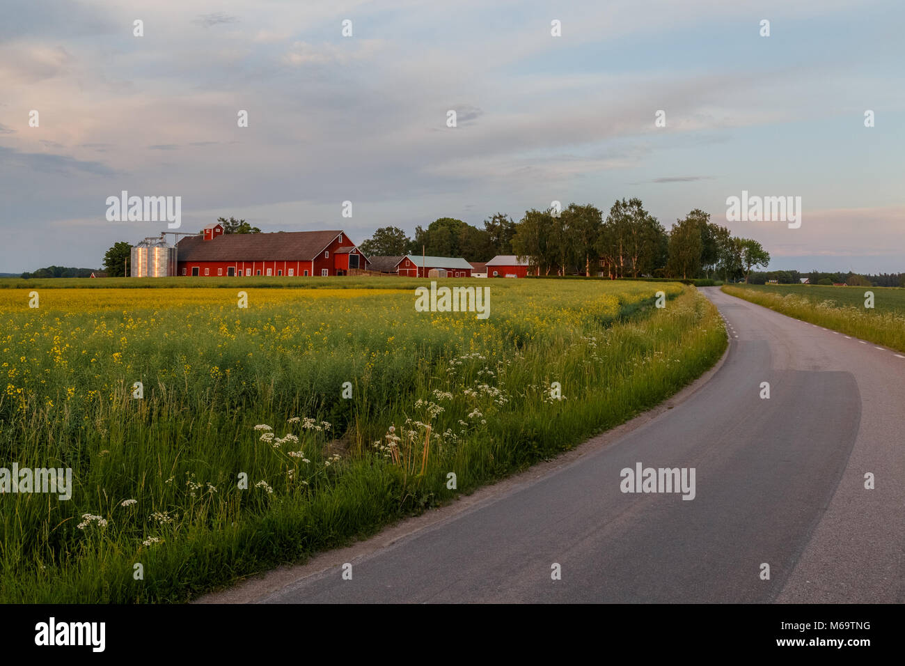 Road leading to red farmer houses Stock Photo - Alamy