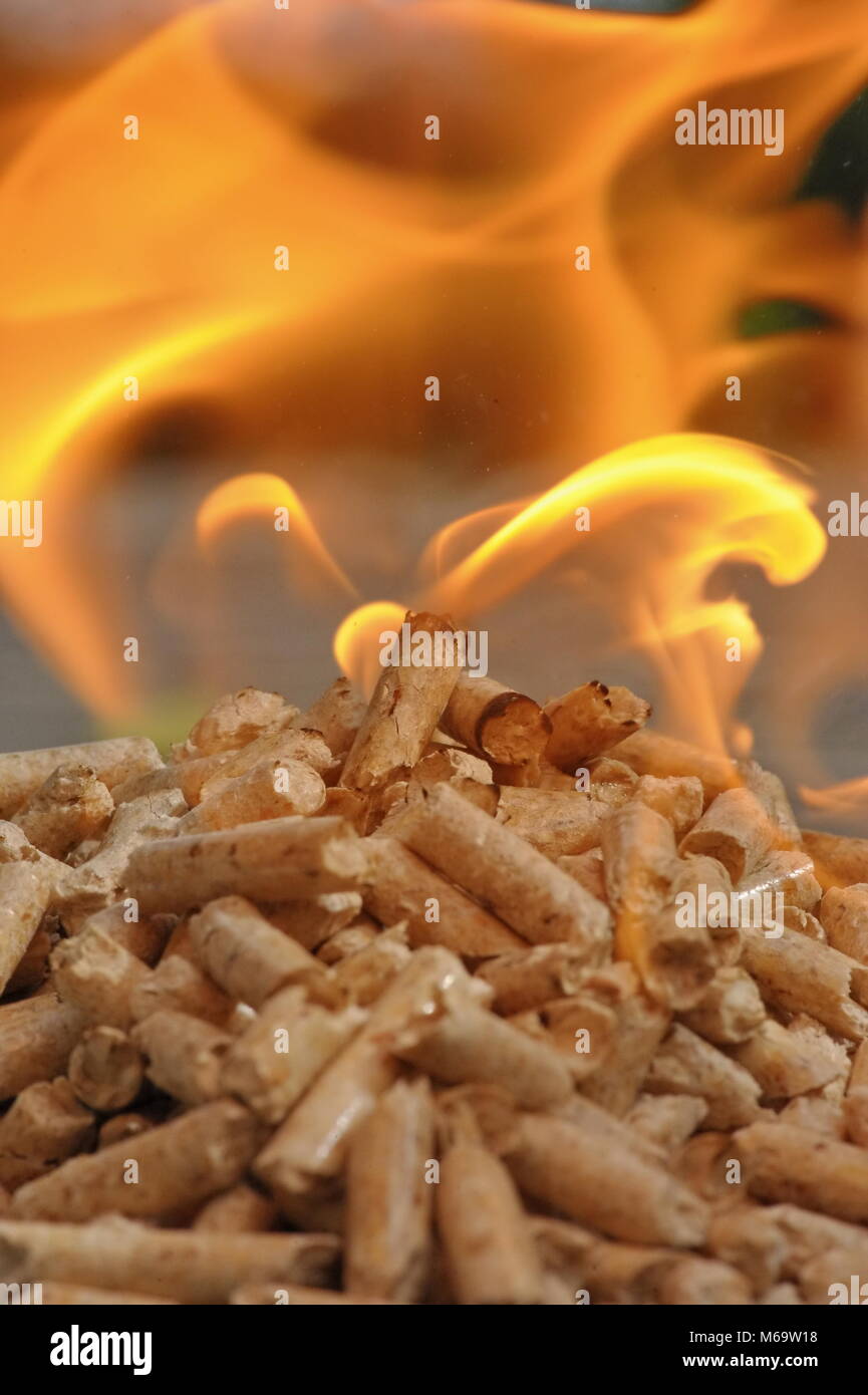 6 burner hi-res stock photography and images - Alamy