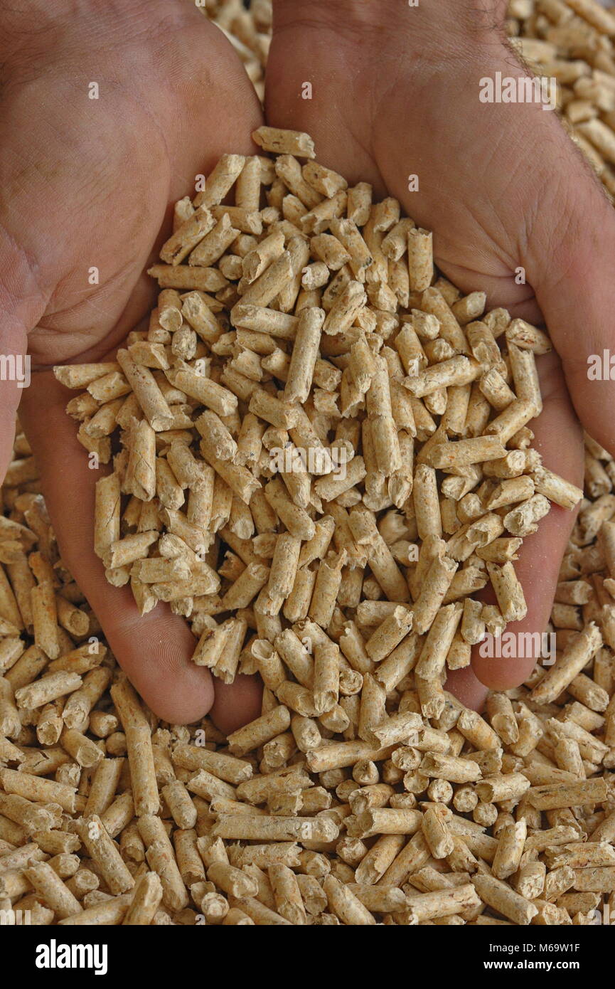 Fuel pellets 8 Stock Photo - Alamy