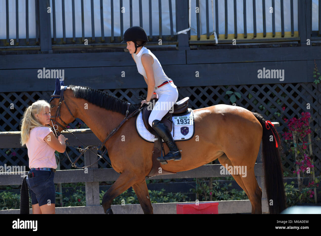 Jessica rae springsteen hi-res stock photography and images - Alamy