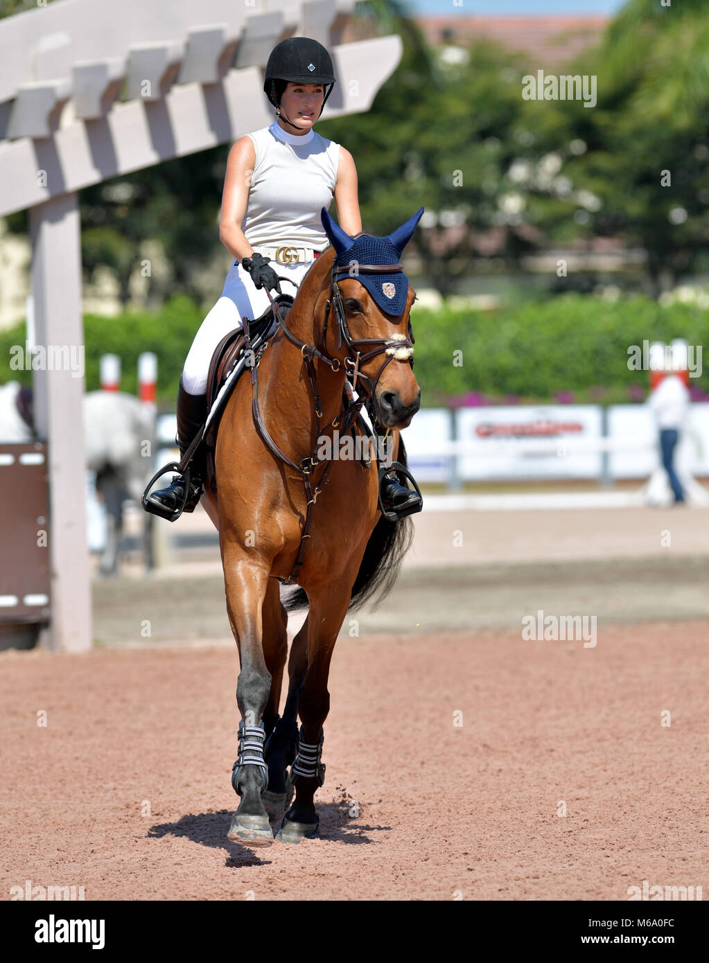 Jessica rae springsteen hi-res stock photography and images - Alamy