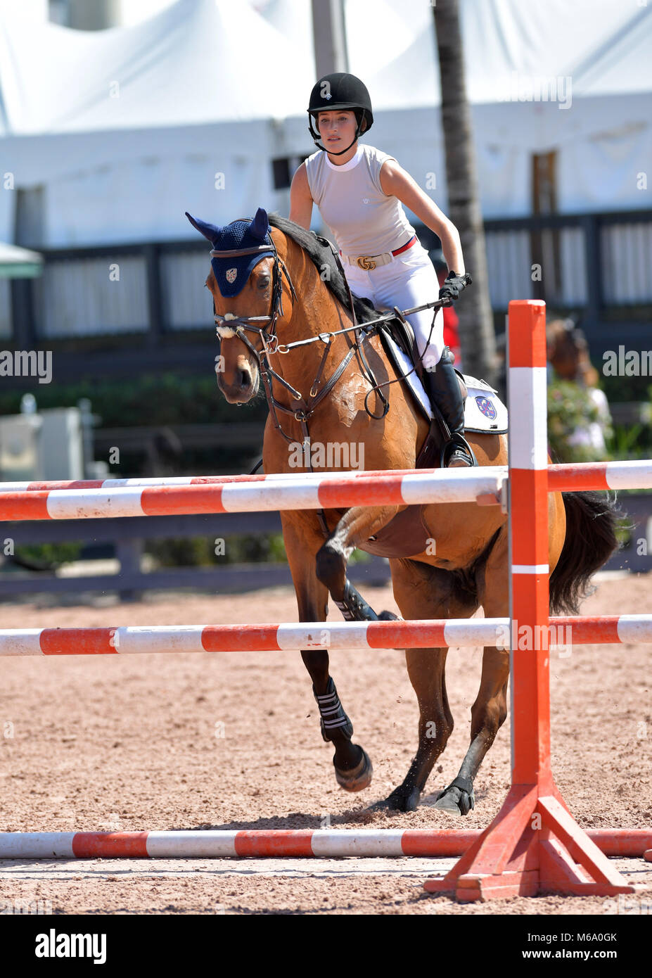West Plam Beach, FL, USA. 01st Mar, 2018. Jessica Rae Springsteen an ...