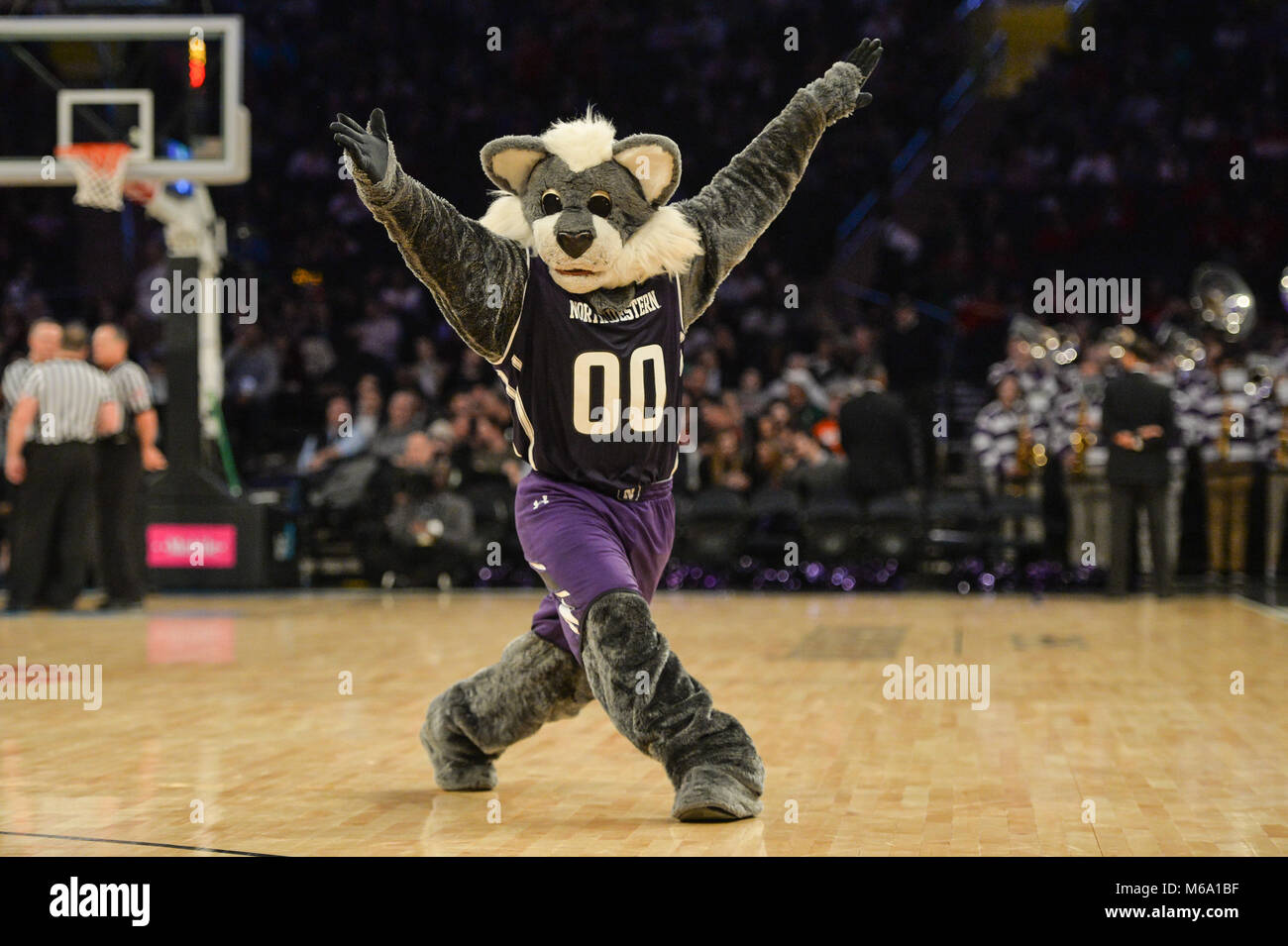 New York, New York, USA. 1st Mar, 2018. The Northwestern Mascot ...