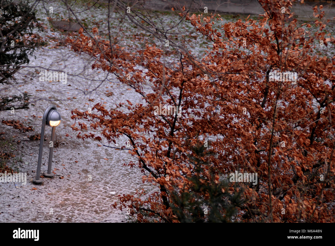 Cold weaher hi-res stock photography and images - Alamy