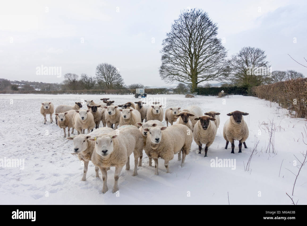 Storm Emma and the Beast from the east weather front bringing snowy ...