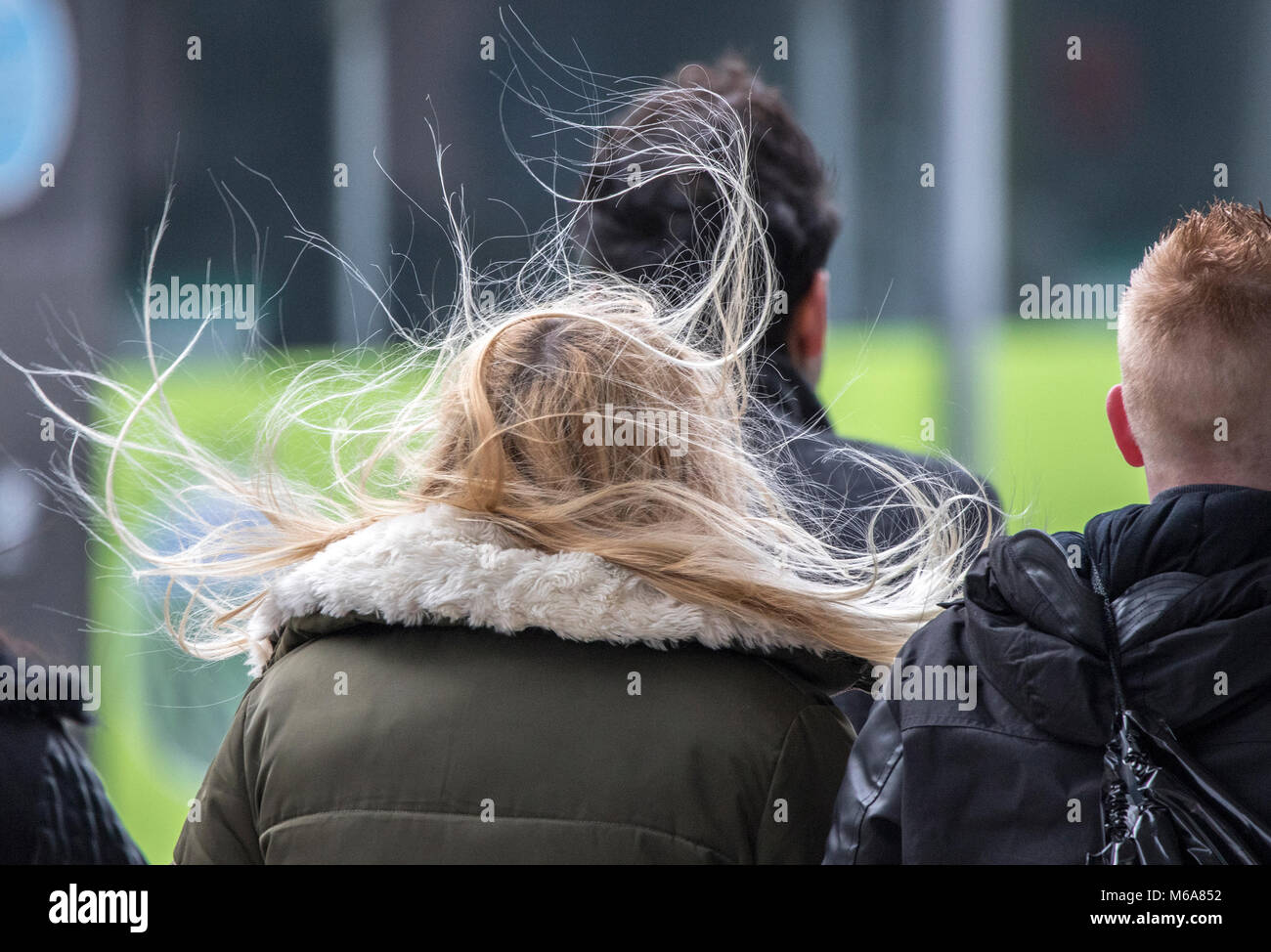 wind,hair,windswept,bad hair day,wind blown hair,long hair,female,face ...