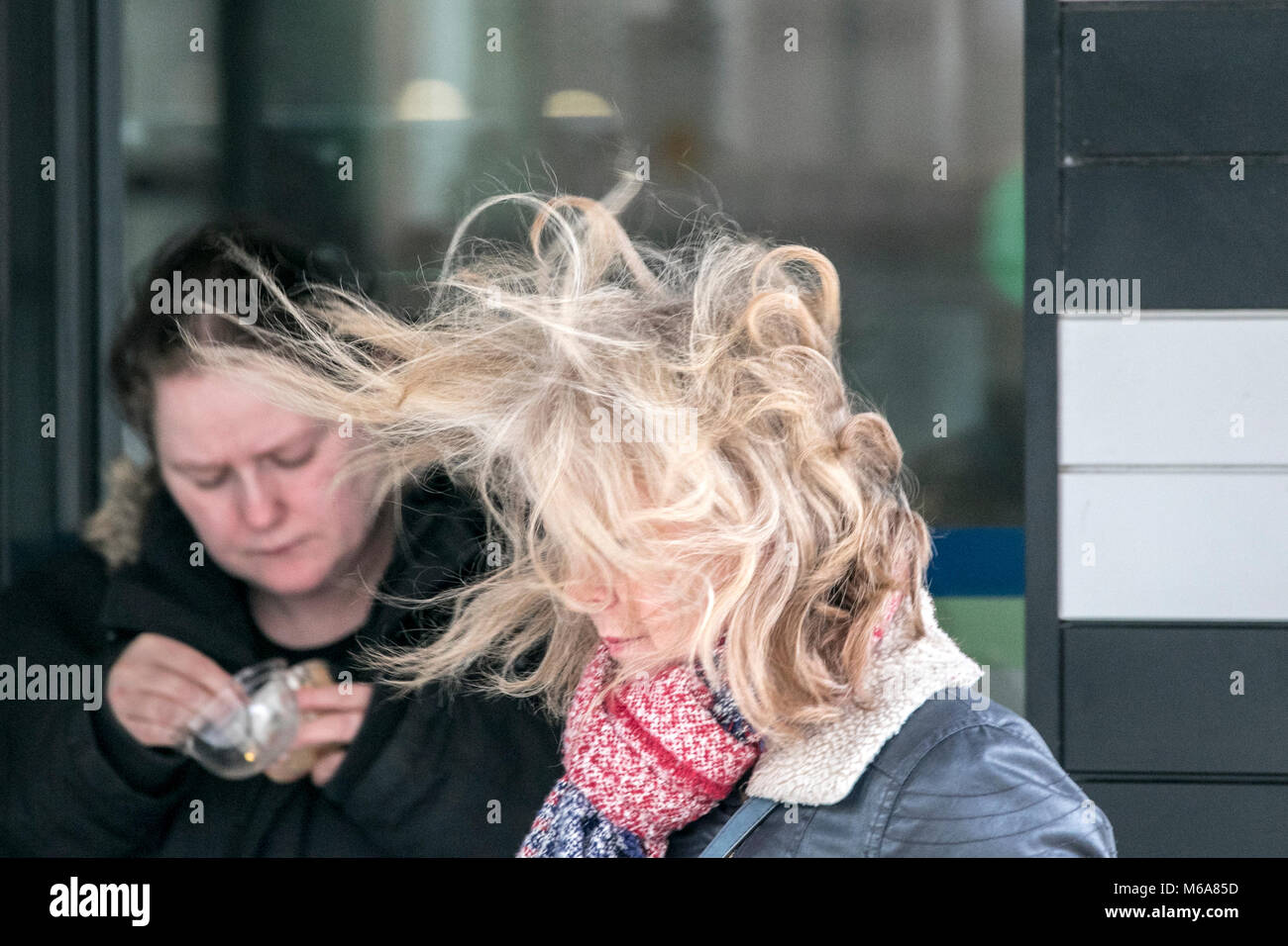 wind,hair,windswept,bad hair day,wind blown hair,long hair,female,face ...