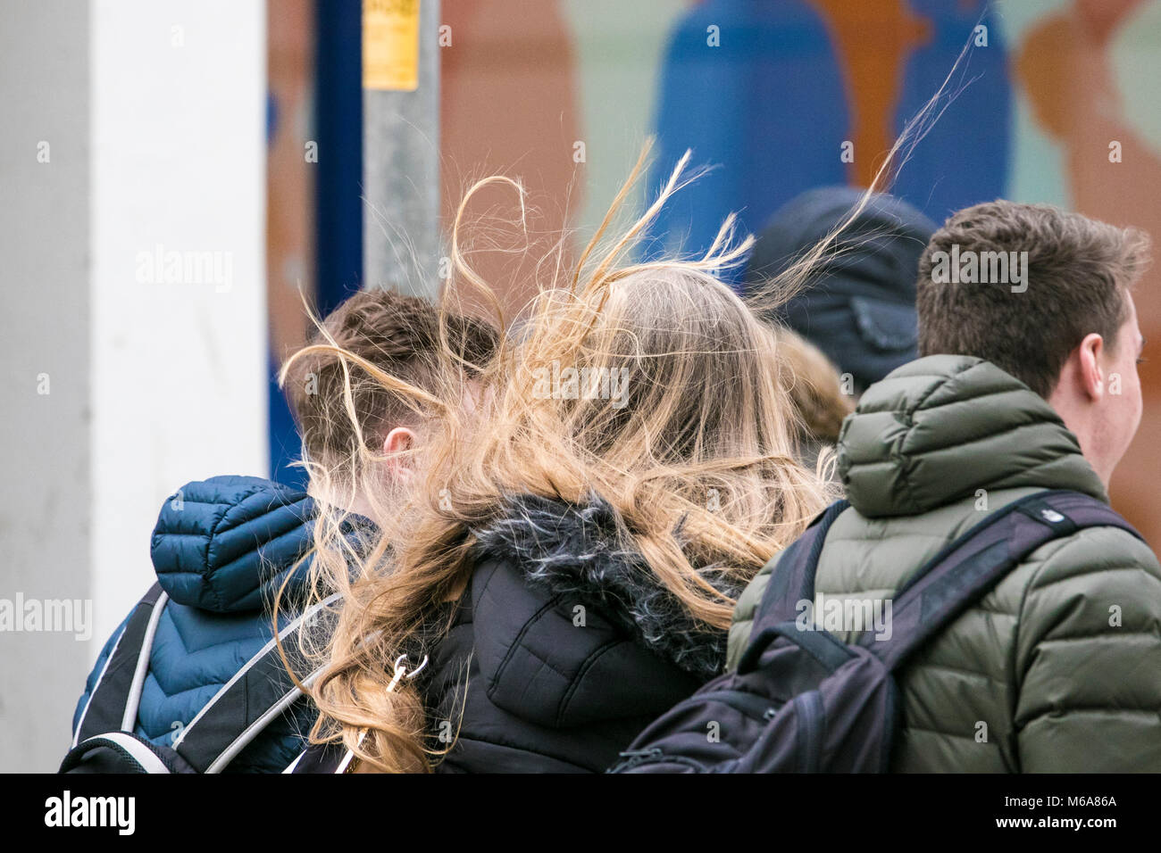 wind,hair,windswept,bad hair day,wind blown hair,long hair,female,face ...