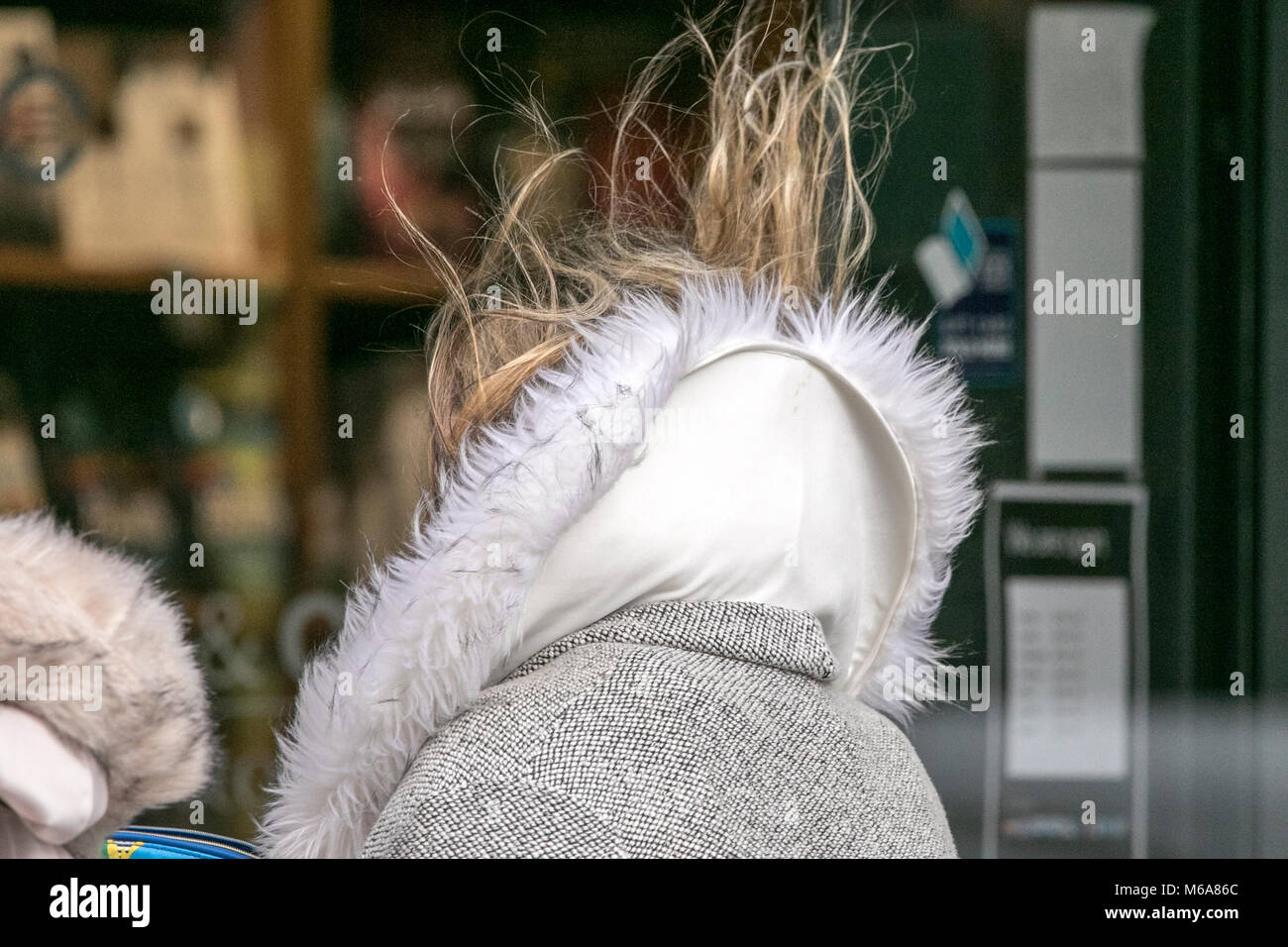 wind,hair,windswept,bad hair day,wind blown hair,long hair,female,face ...