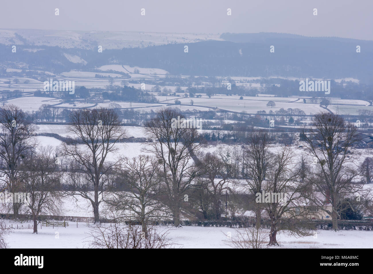 Wrington vale hi-res stock photography and images - Alamy