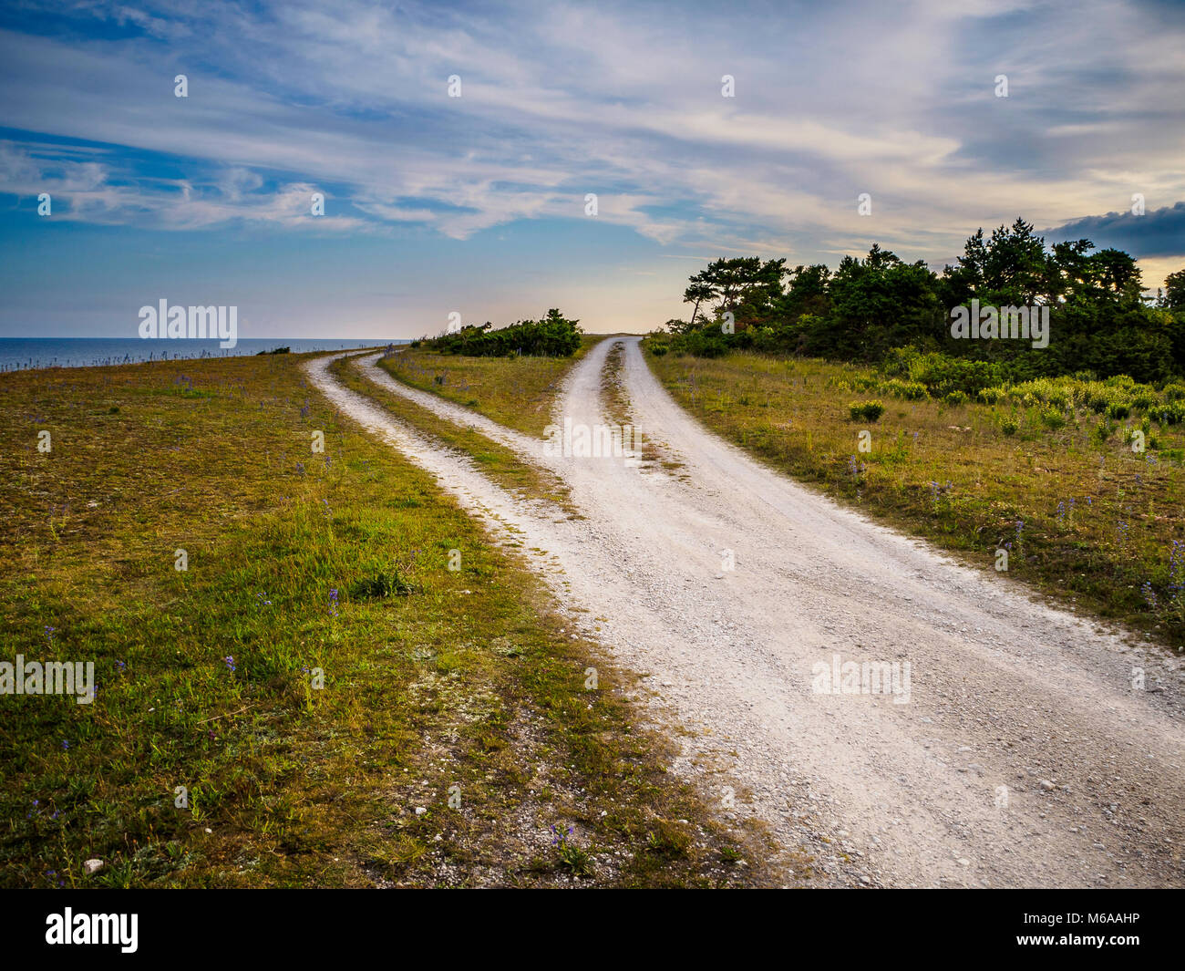 Different paths hi-res stock photography and images - Alamy