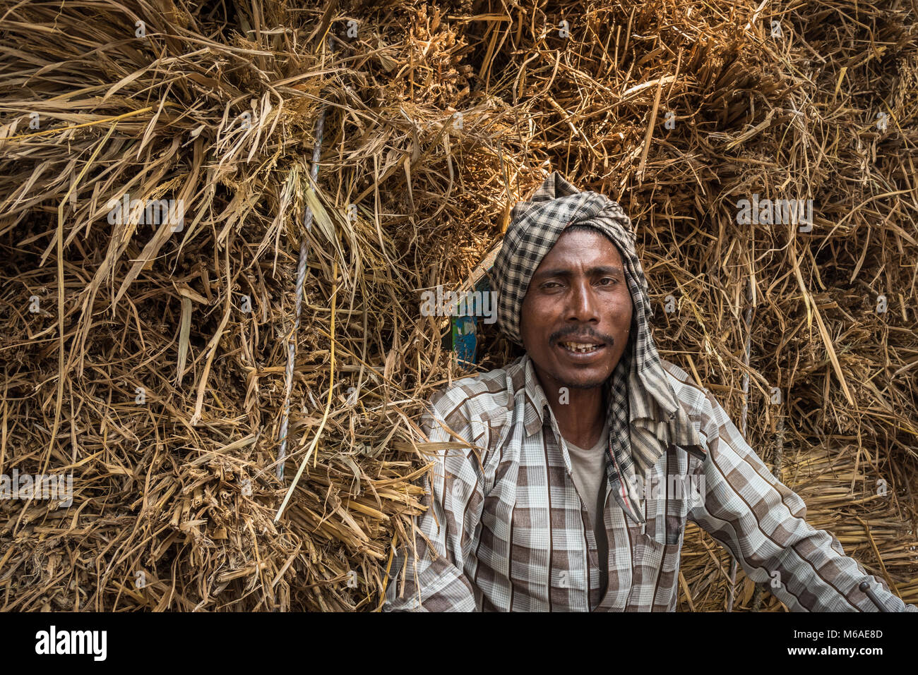 Man Hauling Stock Photos & Man Hauling Stock Images - Alamy