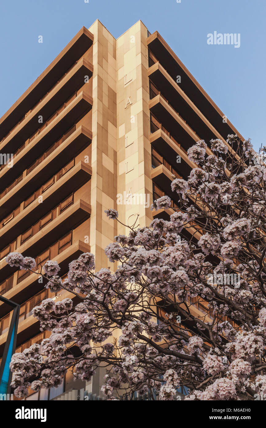 Costa rica Building with a beautiful Roble Sabana tree Stock Photo - Alamy