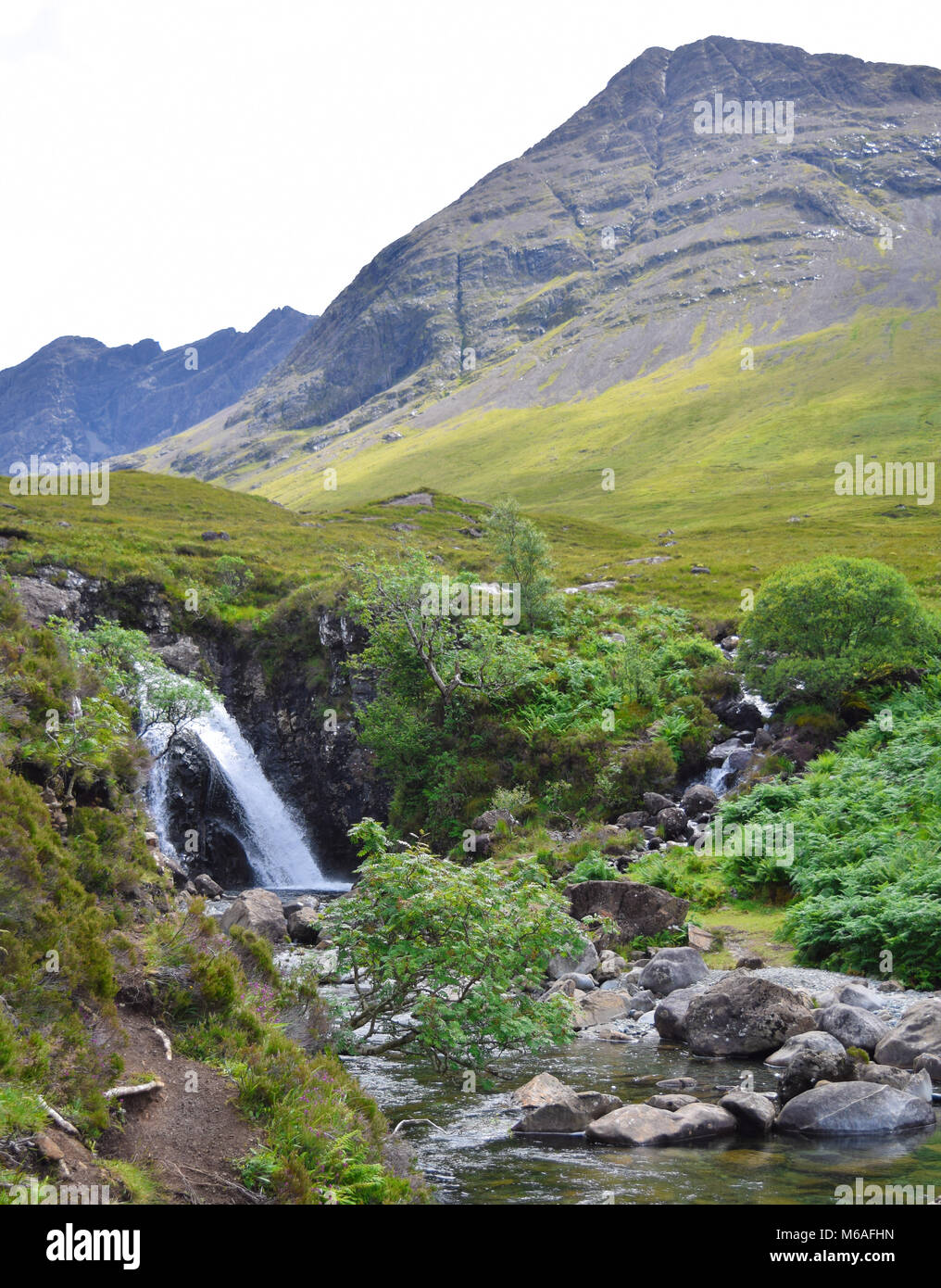 Forest on skye hi-res stock photography and images - Alamy