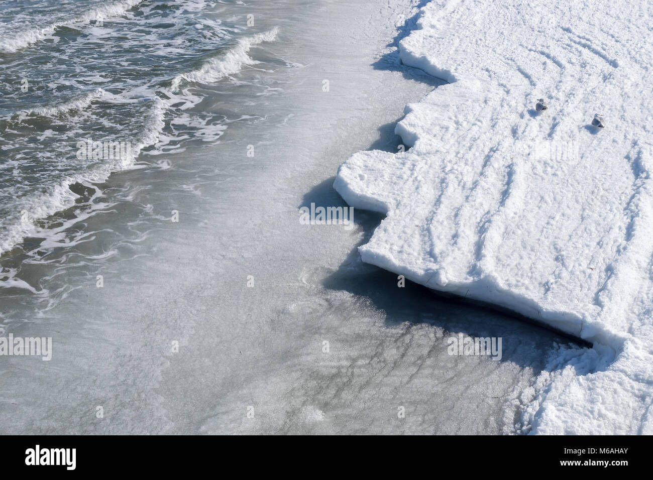Frozen Baltic Sea Beach on a cold Winter Day Stock Photo - Alamy