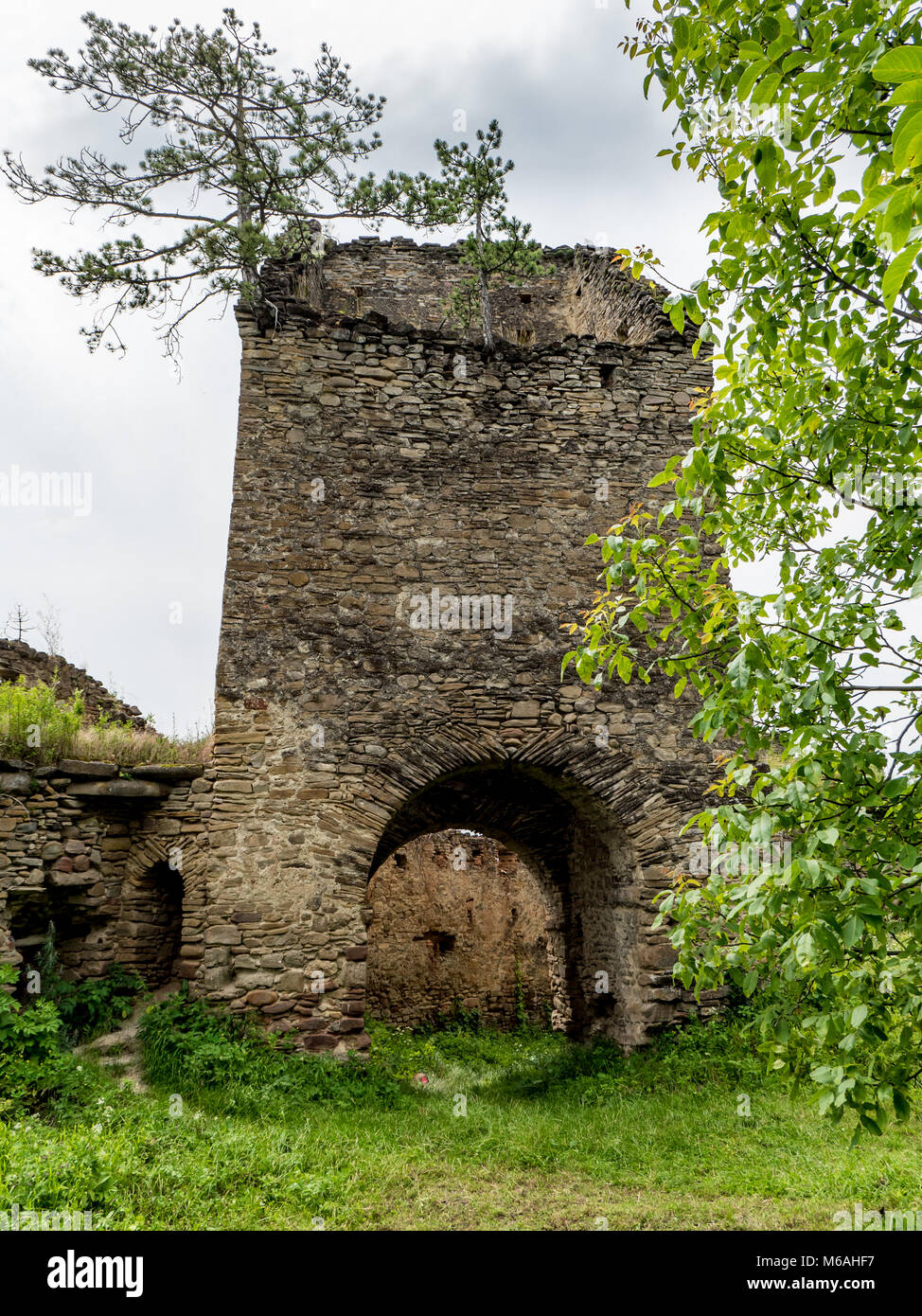 Saschiz hi-res stock photography and images - Alamy
