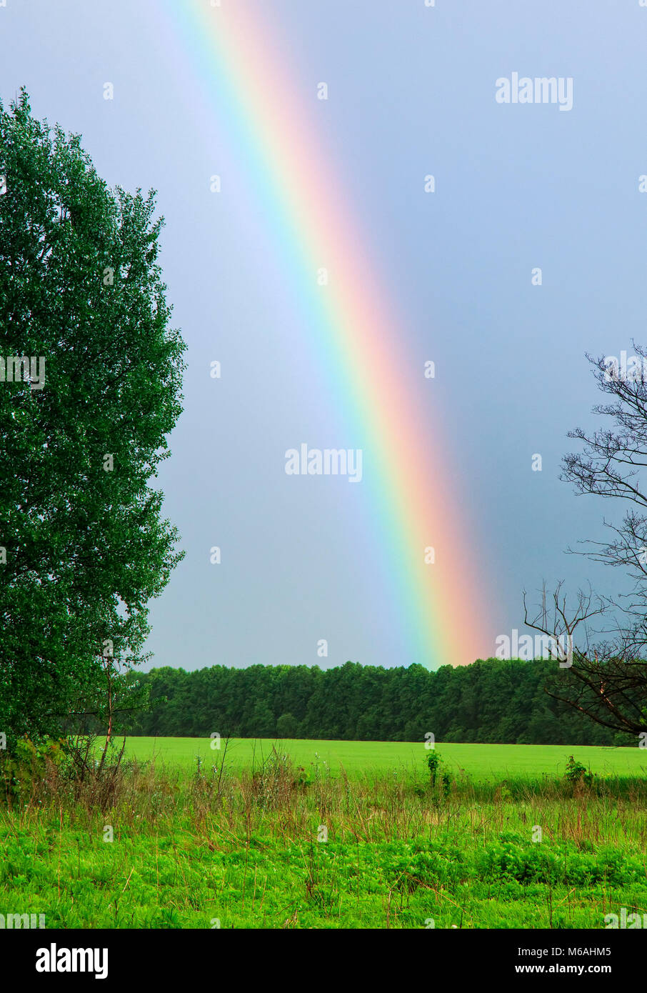bright summer landscape with a rainbow down on green field and far ...