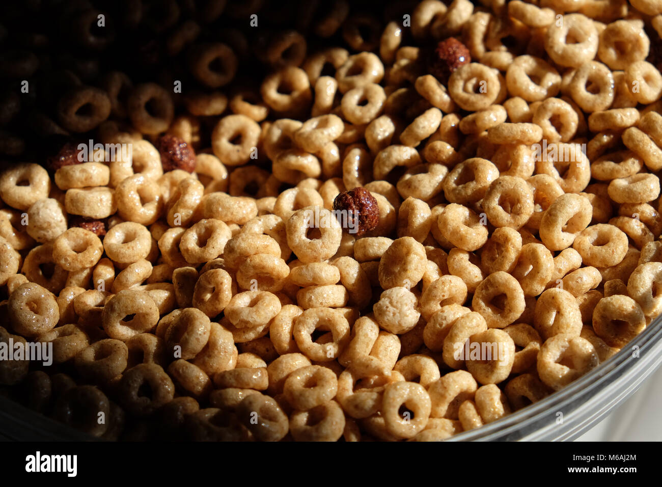 Breakfast cereals in morning light close-up Stock Photo - Alamy