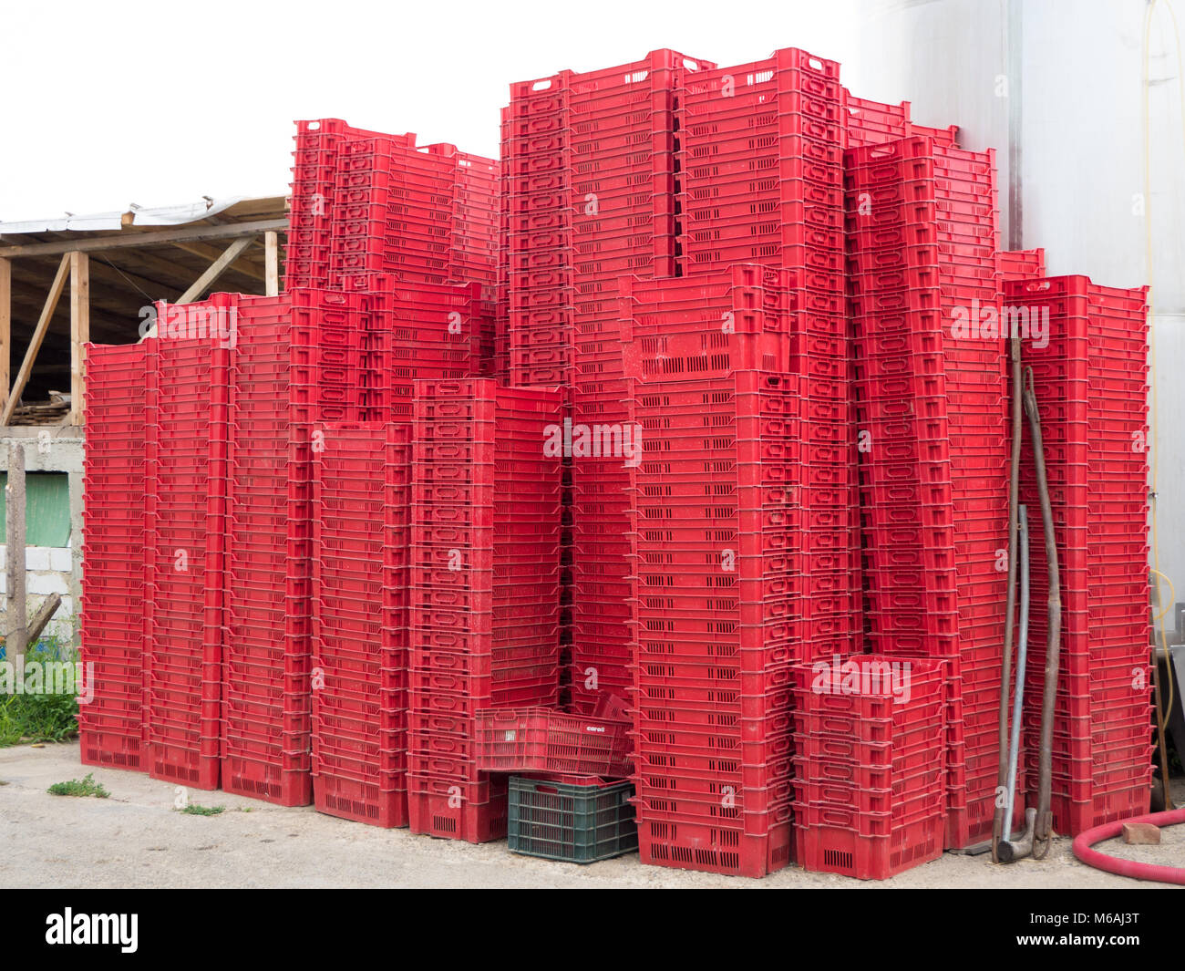 Vineyard harvest boxes Stock Photo - Alamy