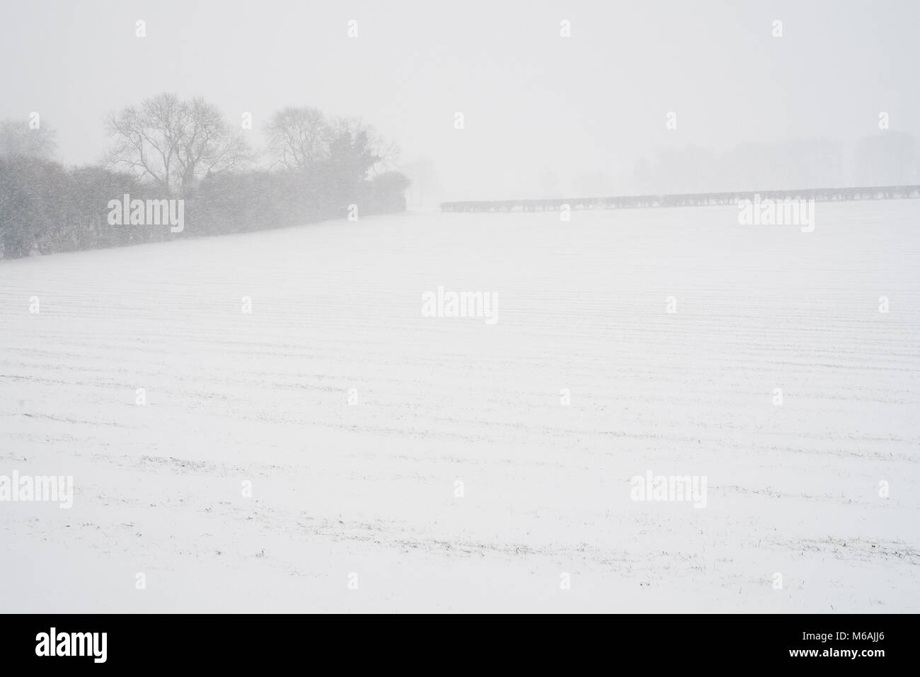Snowblind hi-res stock photography and images - Alamy