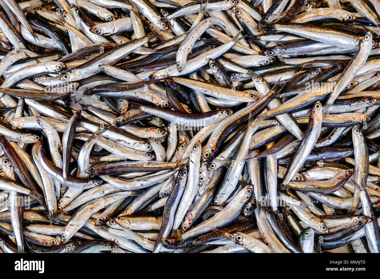 Fish market in Corfu Town Stock Photo - Alamy