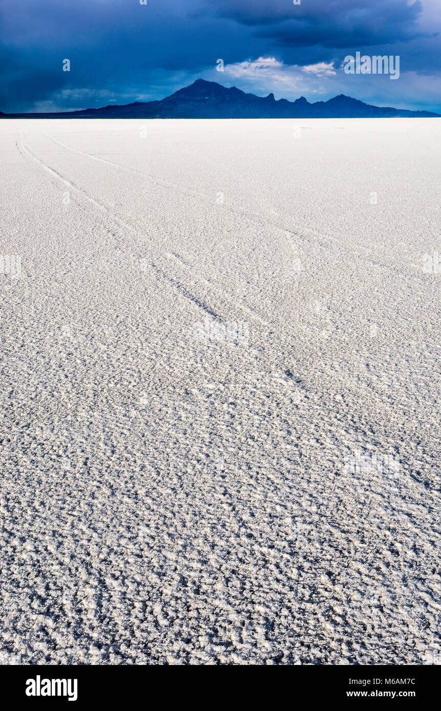 Car tracks at salt pan at Bonneville Salt Flats State Park, sunset ...