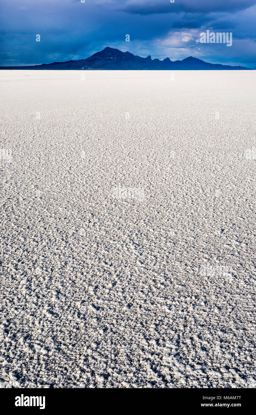 Great salt pan High Resolution Stock Photography and Images - Alamy