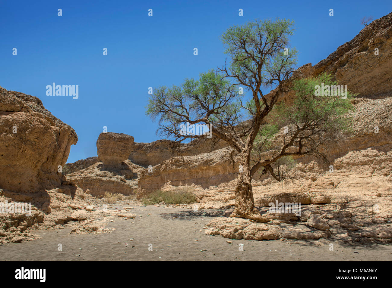 Hardap district hi-res stock photography and images - Alamy