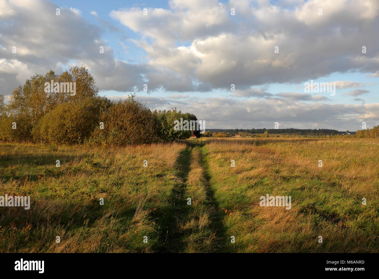 Country footpath in early autumn Stock Photo - Alamy
