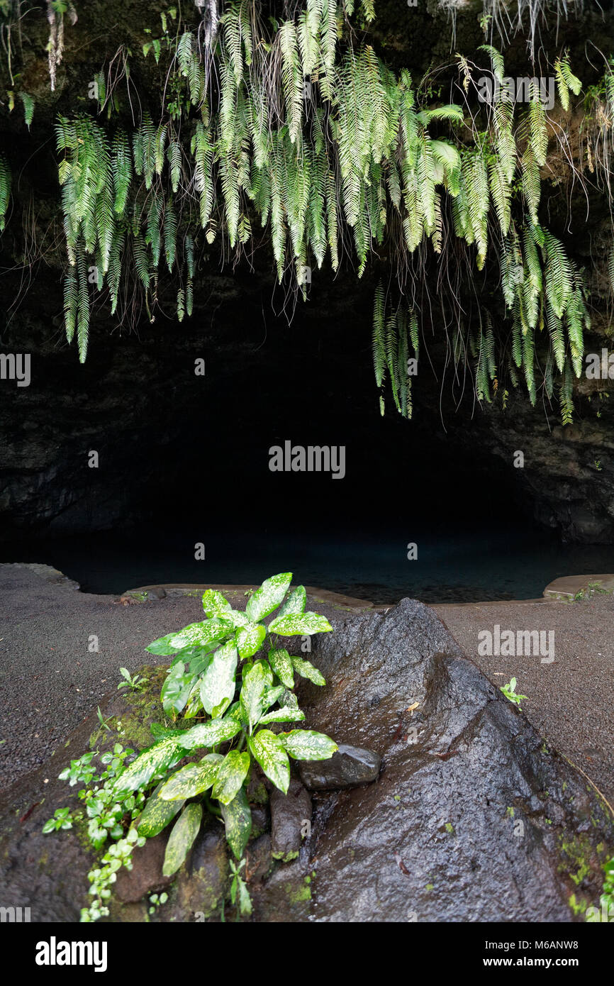 Maraa Grotto, Grotto, Cave, Fern, Taravao, Tahiti, French Polynesia ...