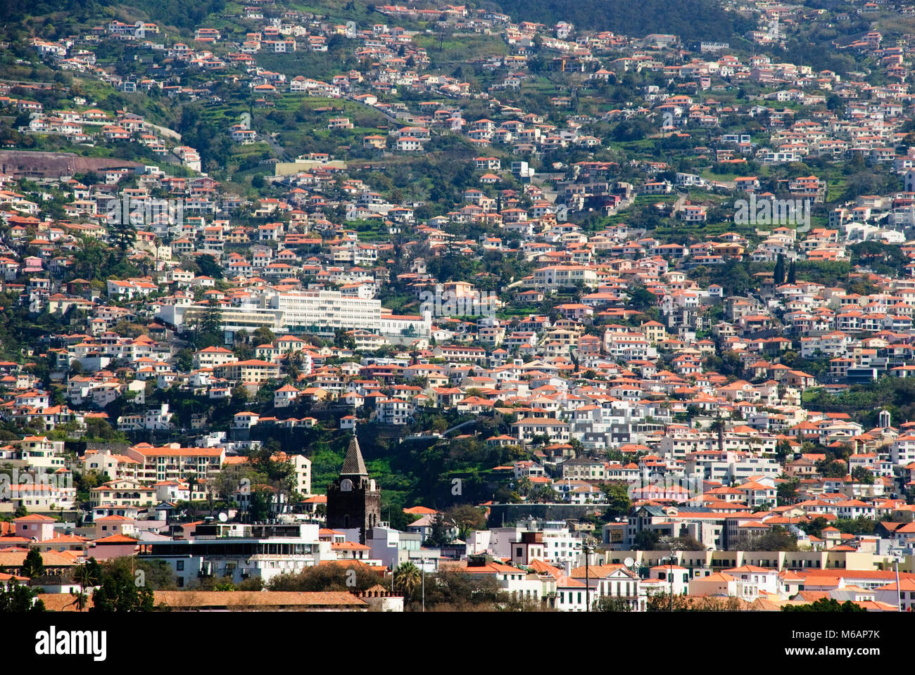 Funchal, capital of Madeira island, Portugal Stock Photo - Alamy
