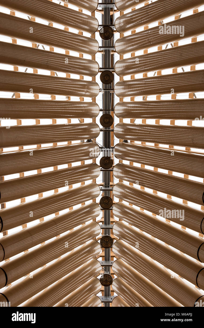 Inside christchurch cathedral south island hi-res stock photography and ...