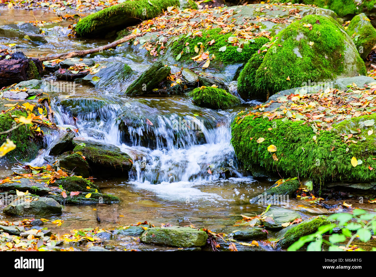 Little Flow in the Wood Stock Photo - Alamy