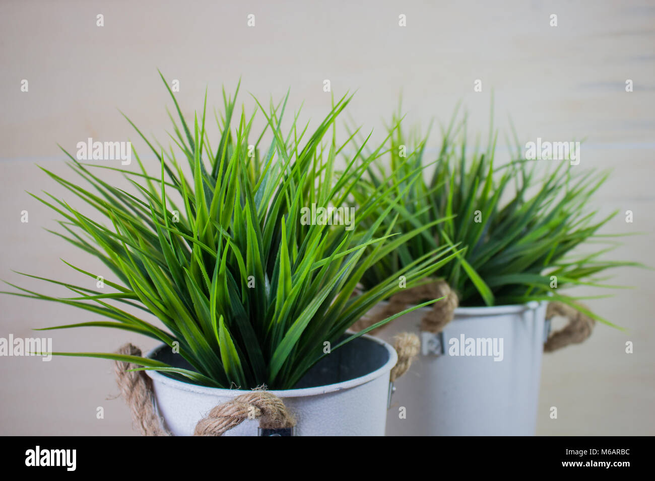 Long blades of green grass isolated on wood background Stock Photo - Alamy