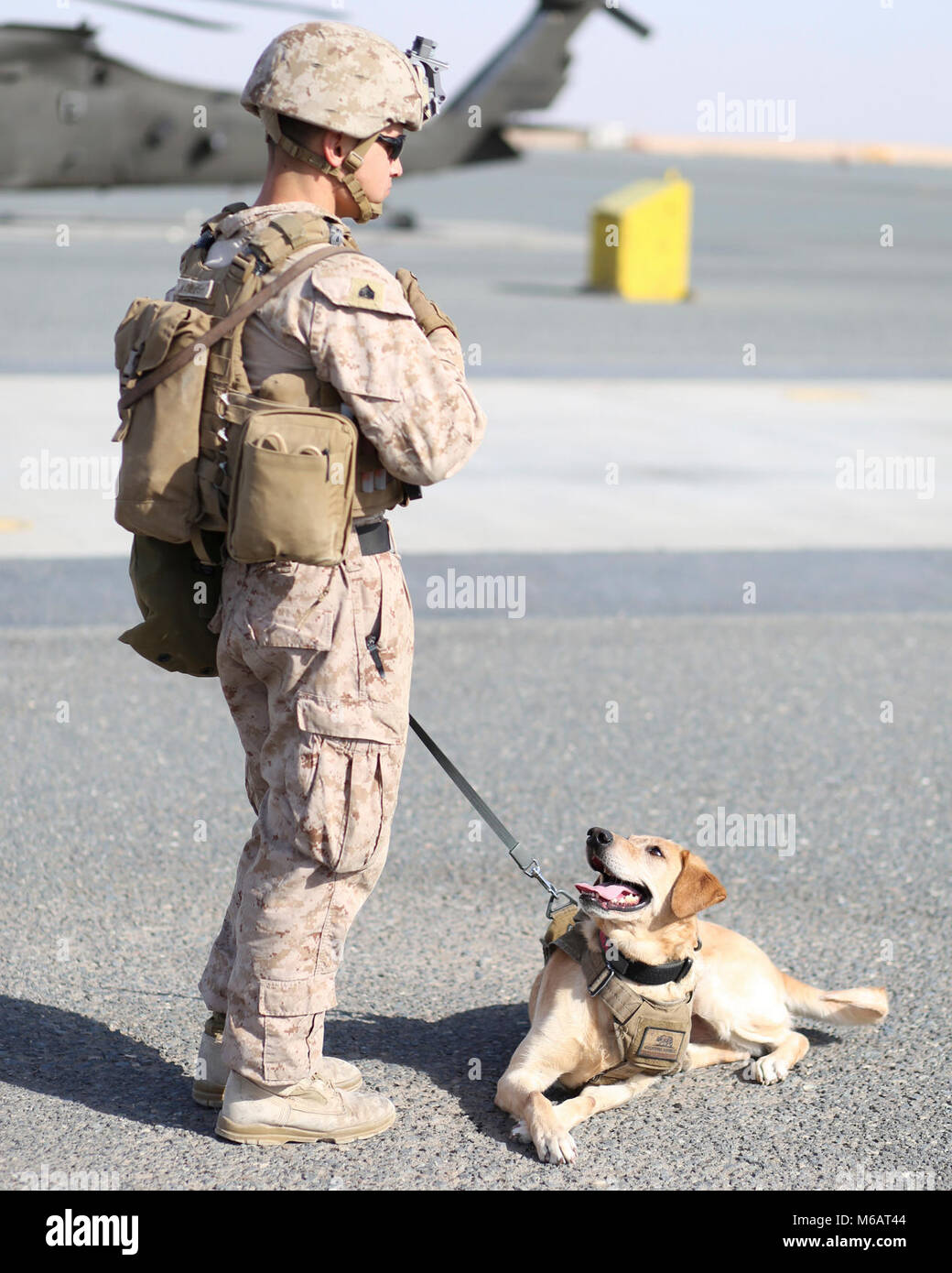 1st military working dog regiment hi-res stock photography and images ...