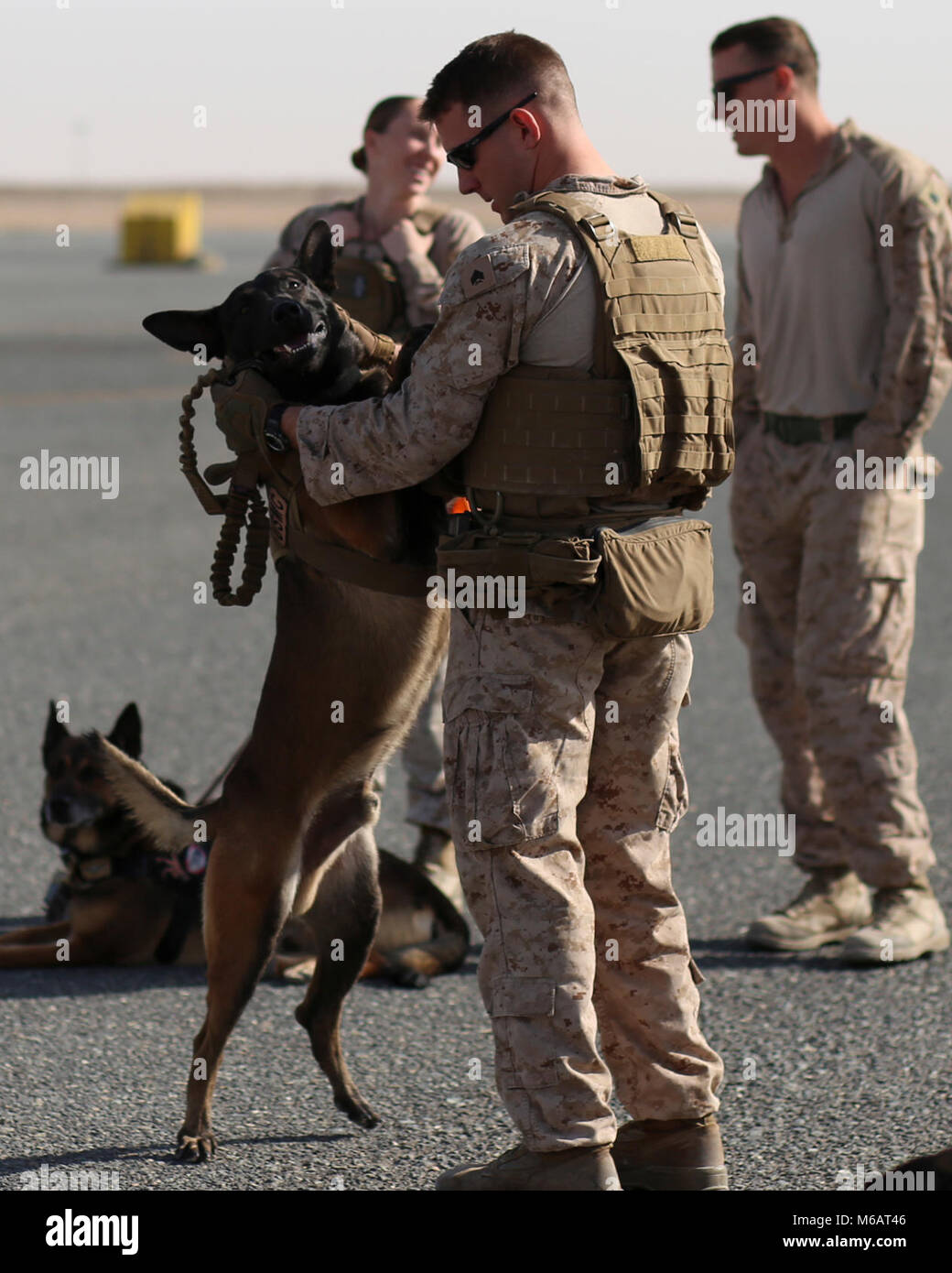 Marine Sgt Lucas Alexander, assigned to the 1st Law Enforcement ...