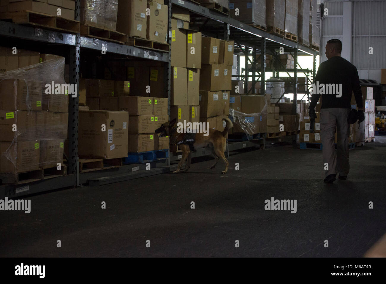 Exor and Officer Brian Awa with the Guam Police Department search for ...