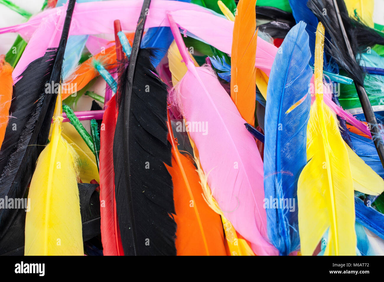 Colorful feathers. Parrot colors duck feather texture. Rainbow colors ...