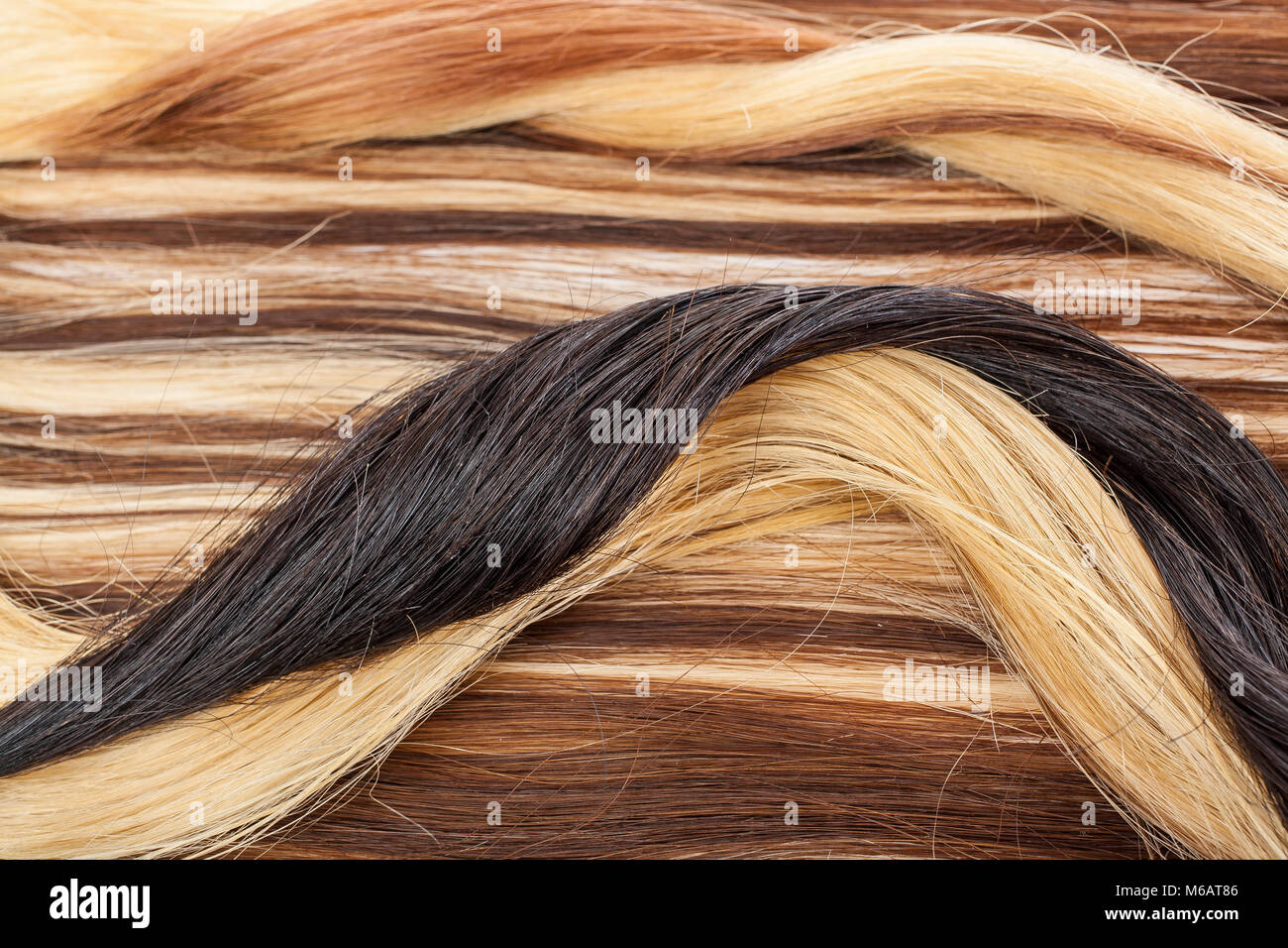 Human Hair Macro High Resolution Stock Photography and Images - Alamy