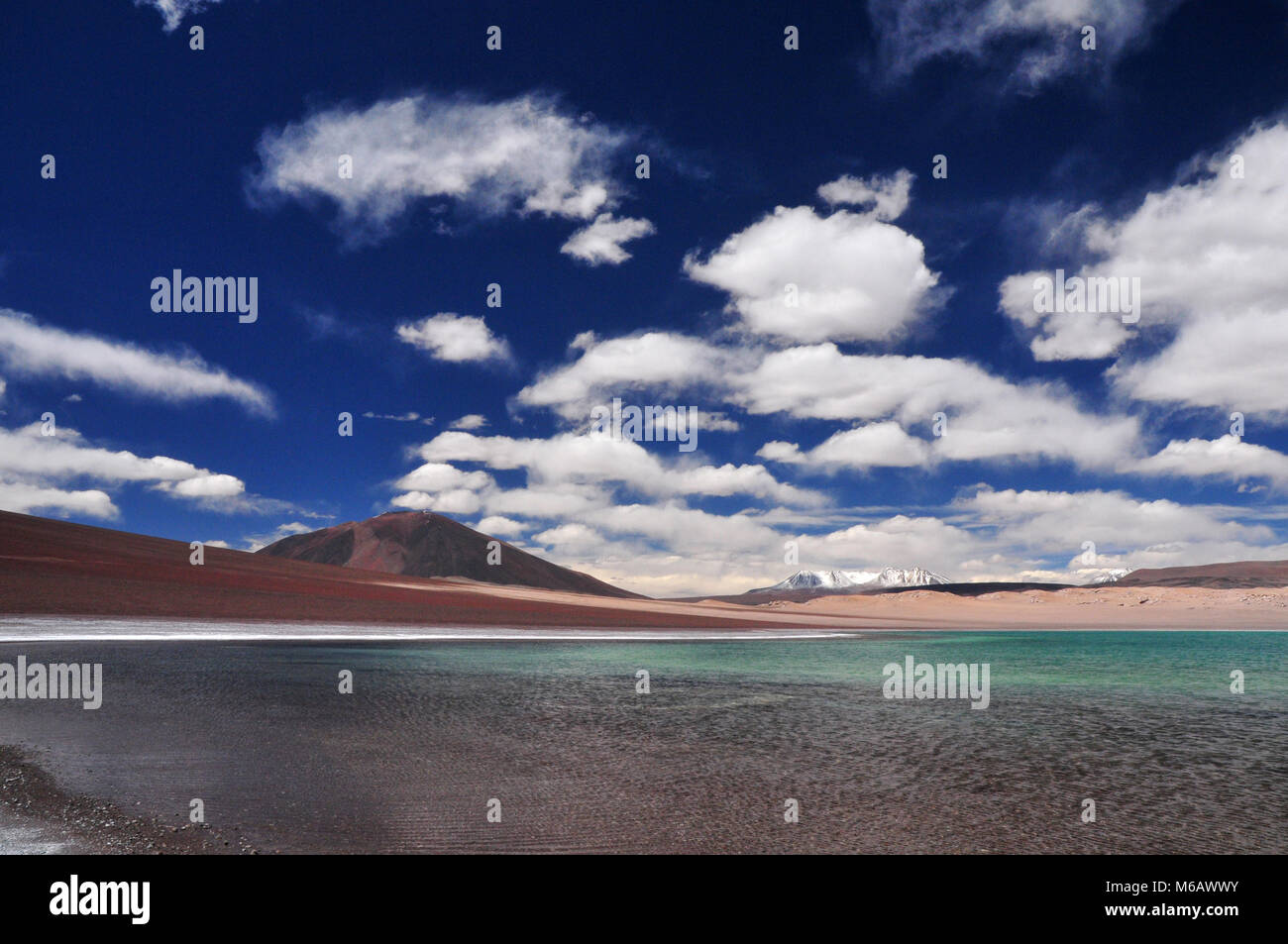Highland lagoons, Atacama Desert, Chile Stock Photo - Alamy