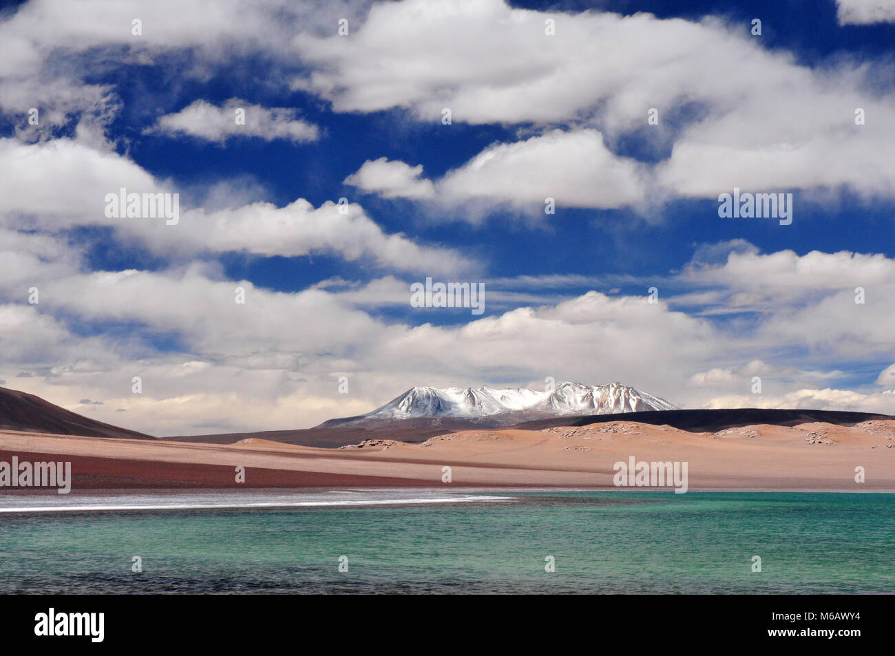 Highland lagoons, Atacama Desert, Chile Stock Photo - Alamy