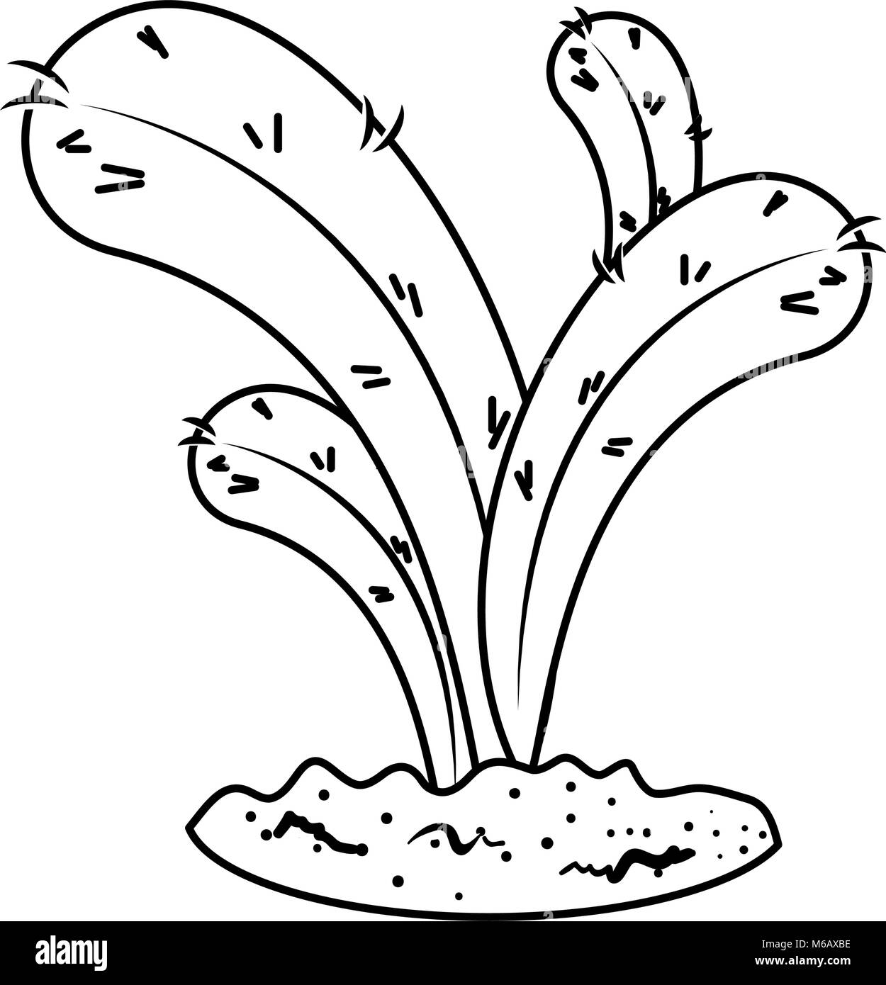 Herb cactus Black and White Stock Photos & Images - Alamy