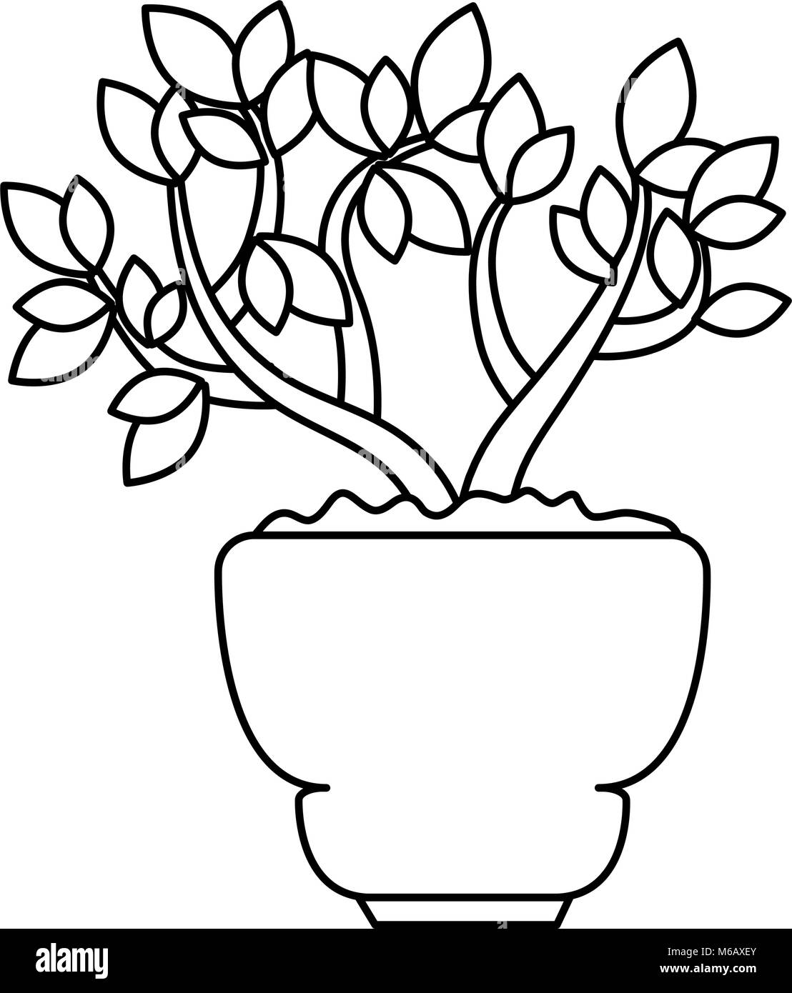 Botanical japanese bonsai garden Black and White Stock Photos & Images ...