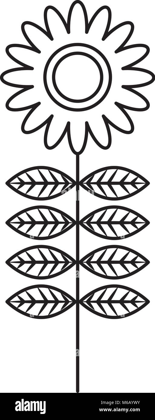 Pink rose leaves vintage Black and White Stock Photos & Images - Alamy