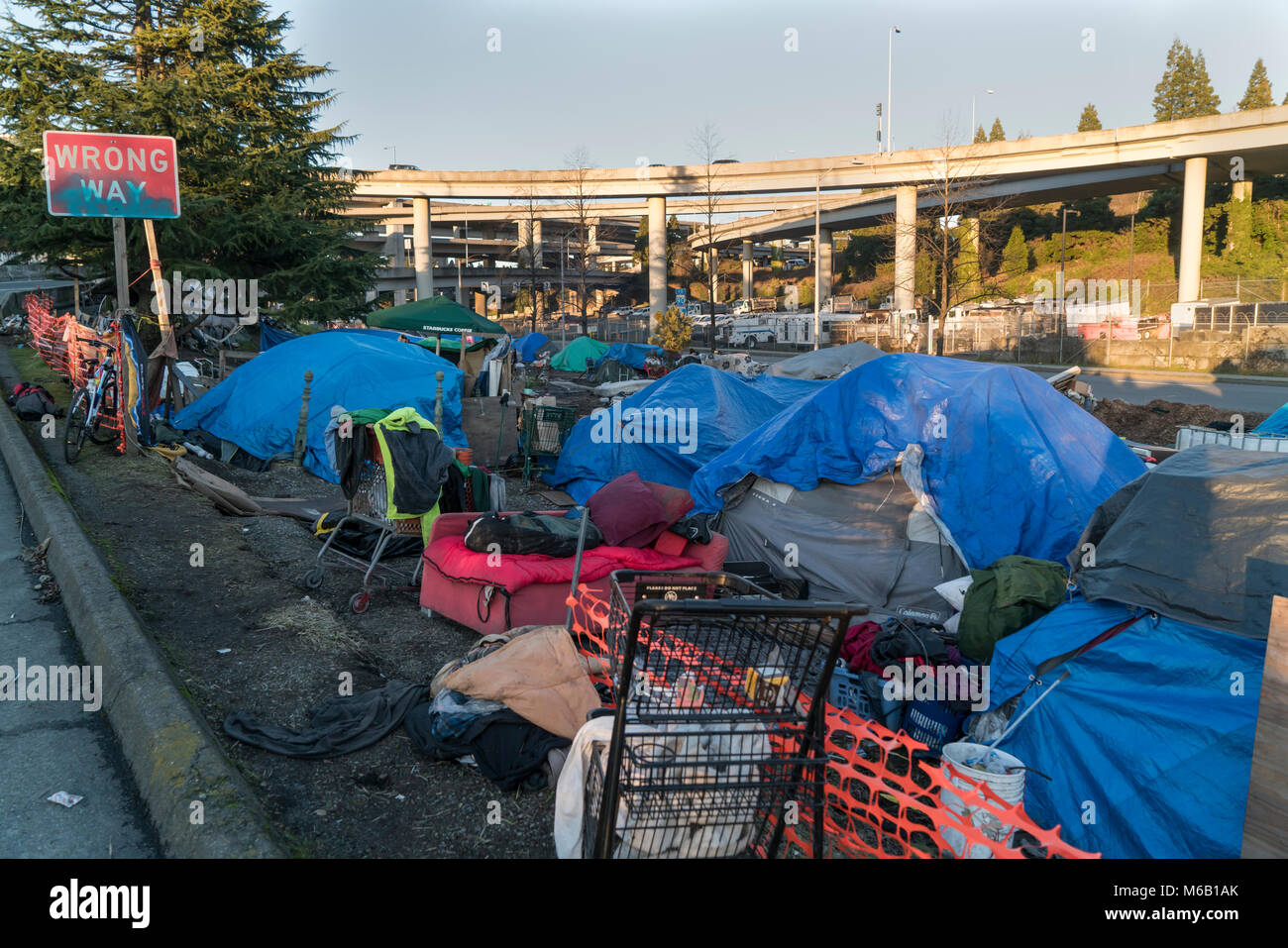 Singapore hangs prisoner over 1 kg of cannabis > General Discussion ...
