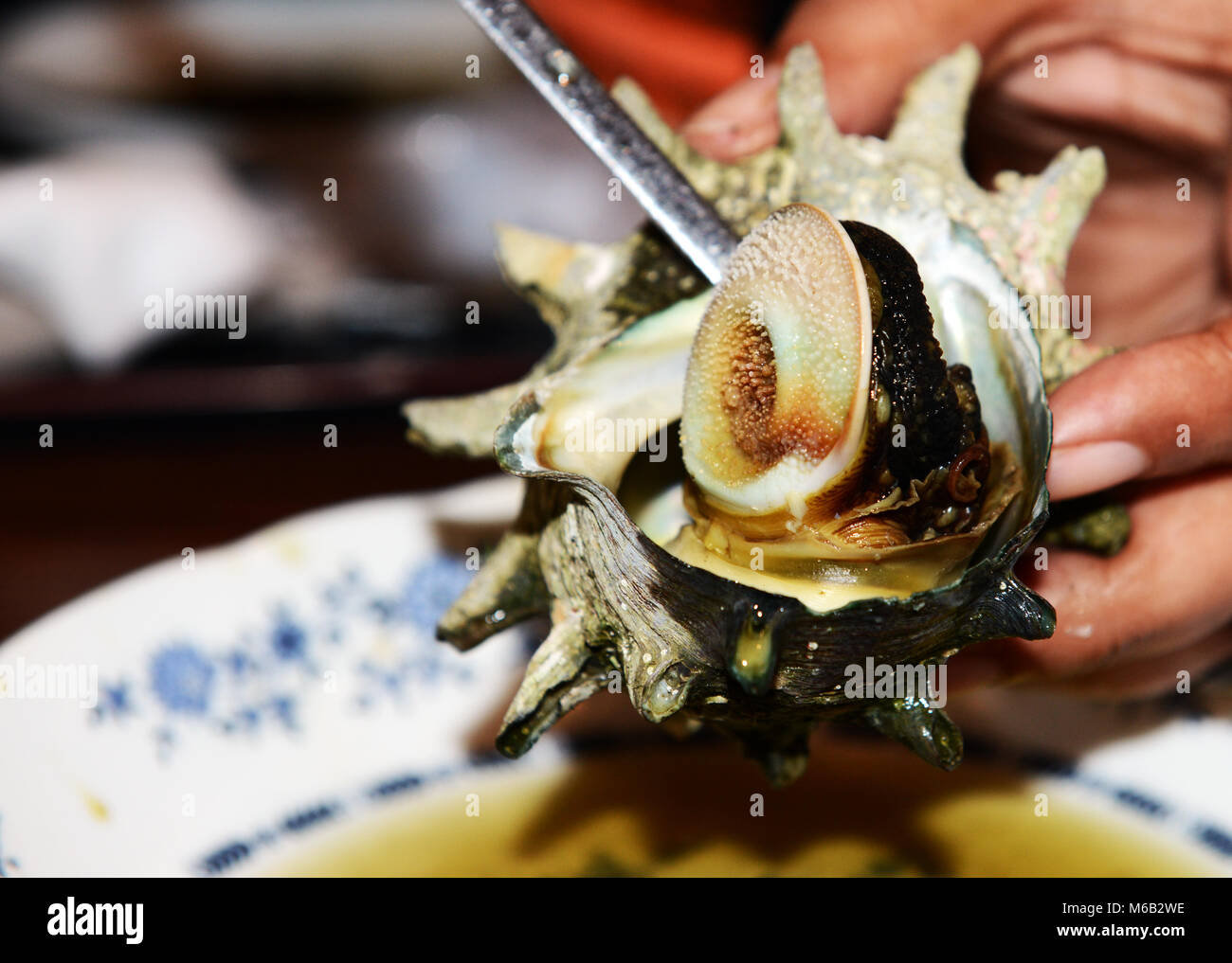 Cooked snail hi-res stock photography and images - Alamy