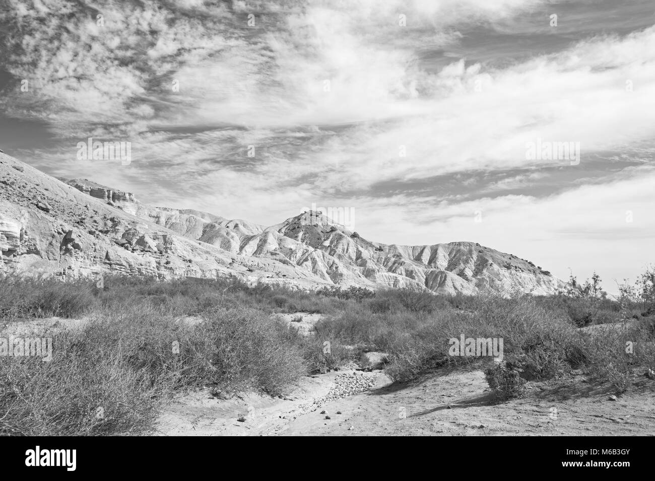 monochrome of desert mountains and vegetation in Wadi Zin in the Negev ...