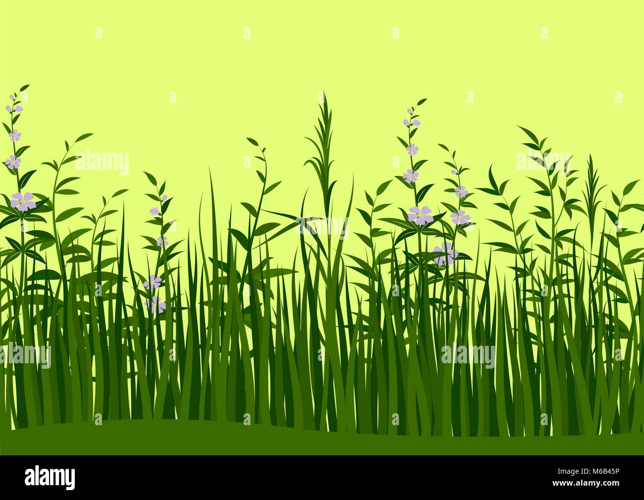 Grass and Flowers, Seamless Stock Vector Image & Art - Alamy