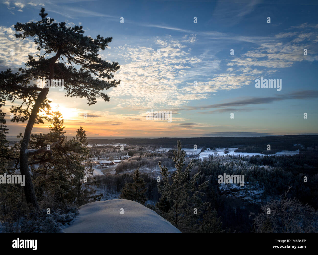 Winter landscape in Sweden, sunset and blue sky. Tree in foreground ...